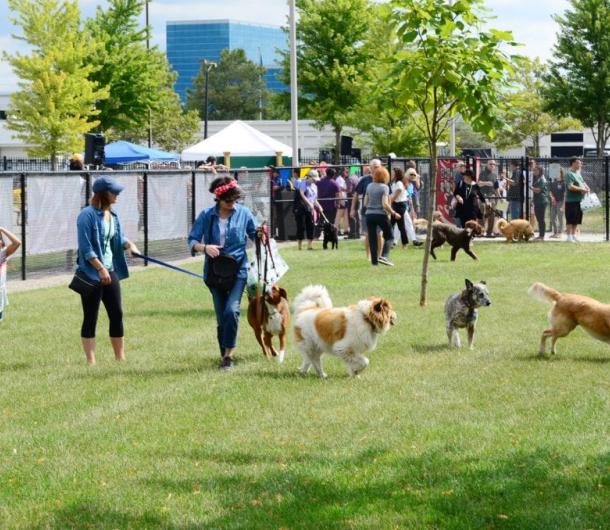 Dog Park | City of Dearborn